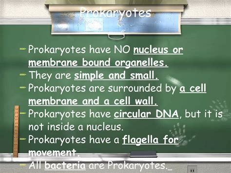 Prokaryotes Vs Eukaryotes Ppt