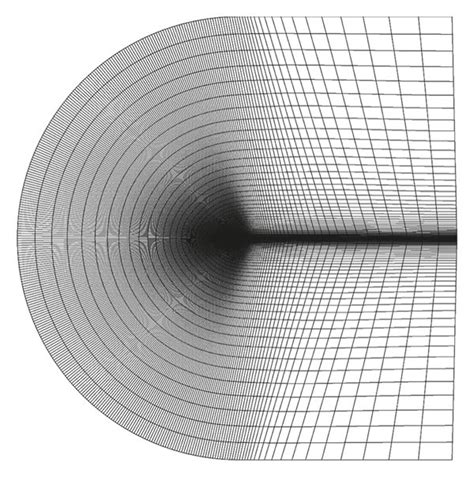 Far Field Of Initial Algebraic Euler And Navier Stokes Meshes
