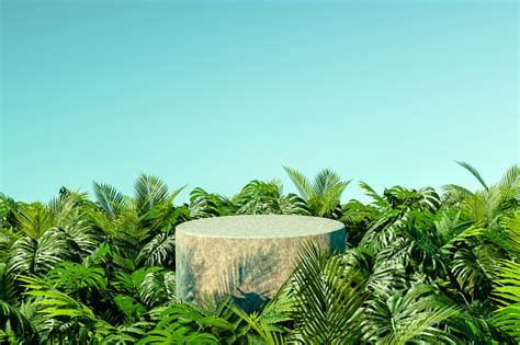 제품 전시를 위한 열대 우림의 3d 렌더 플랫폼 및 자연 연단 배경 빈 쇼케이스 모의 템플릿 또는 빈 라운드 스테이지가 있는 화장품 프레젠테이션 생활필수품에 대한 스톡 사진