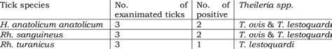 Theileria Species Detected In Engorged Female Ticks Using Multiplex