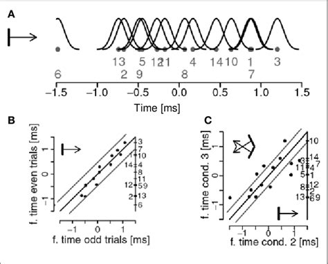 Figure 3 From Neural Synchrony In Cortical Networks History Concept