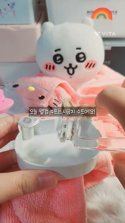 앙쁘👑 조이님 음원👑 인형계 제발떠라 Youtube