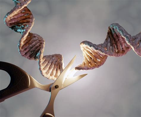 Illustration Of Dna Strand With Molecular Scissors Stock Illustration