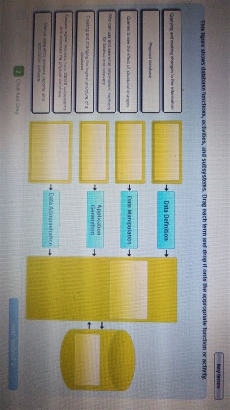 Solved Data Definition Data Manipulation Application Data
