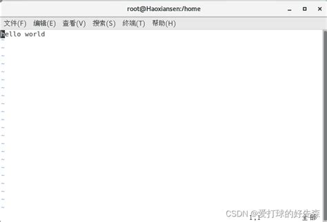 Linux基础 Vi和Vim编辑器 vim 打开新文件 CSDN博客