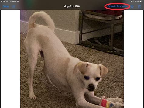 Can You Import A PDF Into Procreate What You Need To Know Adventures With Art