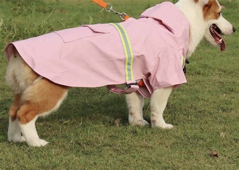 행복한 하루 에누리 쇼핑지식 자유게시판