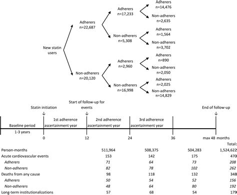 Statin Adherence And Risk Of Acute Cardiovascular Events Among Women A Cohort Study Accounting