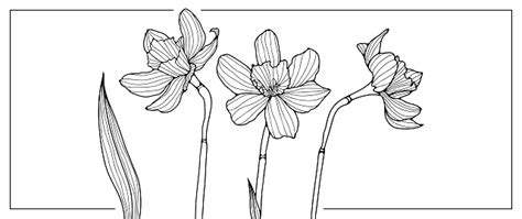 세 개의 귀여운 꽃이 있는 흑백 꽃 그림 색칠하기 책 장식 표지 배경 엽서 및 프레젠테이션을 위한 삽화 꽃 식물에 대한 스톡