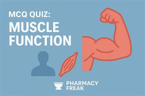 Mcq Quiz Muscle Function