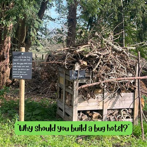 Why Should You Build A Bug Hotel” Upthegarden Company