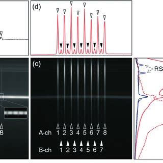 Multi Channel Spectral Images A Multi Channel Background Light Download Scientific Diagram