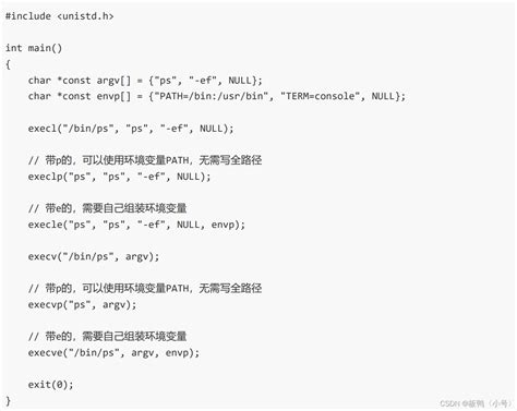Linux——进程程序替换 Csdn博客