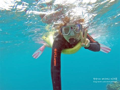 호주 케언즈 여행 그레이트배리어리프 스노쿨링 다이빙 투어 다녀오기 네이버 블로그