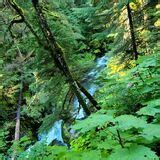 Virgin Creek Falls Alaska Alltrails