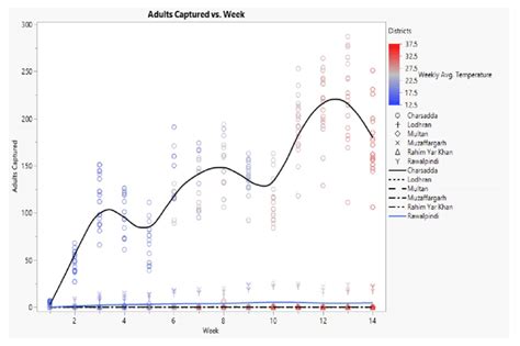 Adults Captured Through Sex Pheromone Trap During The Study Period Download Scientific Diagram