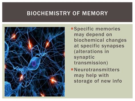 Ppt When Memory Lapses Powerpoint Presentation Free Download Id