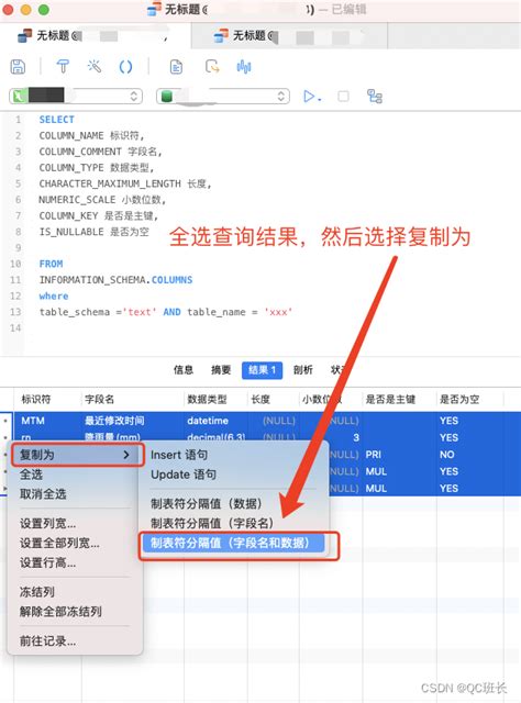 利用navicat premium导出数据库表结构信息至excel的方法 navicat导出表结构成表格 csdn博客