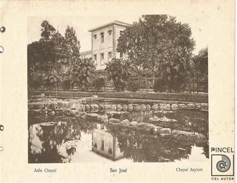 Asilo Chapui Pincel