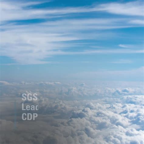 Toby Reeks On Linkedin Sgs Achieves Leadership Position On Cdp 2022