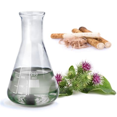 Burdock Root Extract