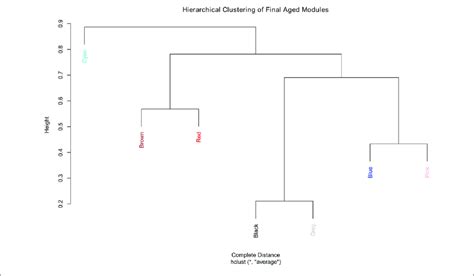 Hierarchical Clustering Of The Final Aged Modules Download Scientific Diagram