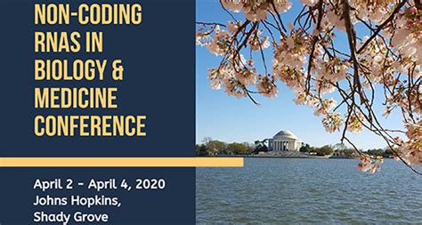 Non Coding RNAs In Biology Medicine Conference RNA Seq Blog