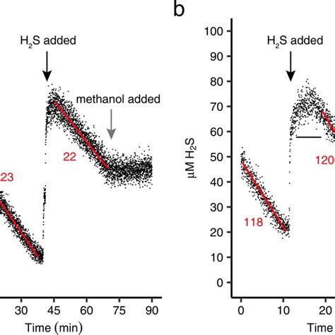 Inhibition Of H2s Consumption By Methylacidiphilum Fumariolicum Solv