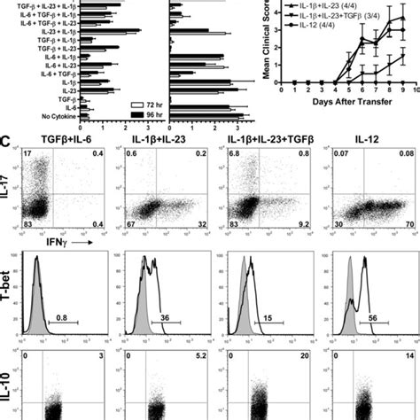 Encephalitogenicity Correlates With Ifn γ Production And T Bet