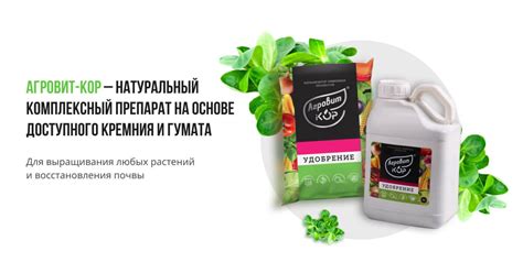 АГРОВИТ-КОР – высокоэффективное и экологичное удобрение для всех видов ...
