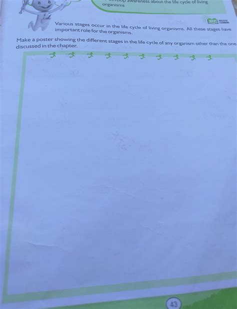 Make A Poster Showing The Different Stages Studyx