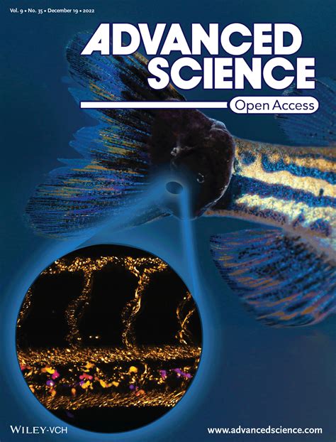 Macrophage Reprogramming With Anti‐mir223‐loaded Artificial Protocells