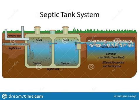 Septic System Drain Field Diagram