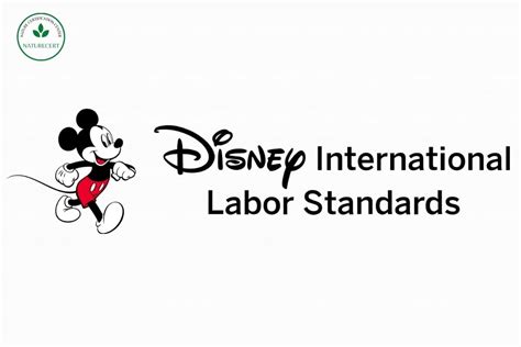 Chứng Nhận Disney Ils Là Gì Tổng Quan Về Tiêu Chuẩn Lao động Quốc Tế