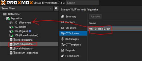 duplicate ct volume that i cannot remove r proxmox