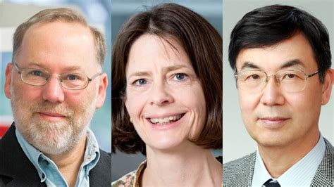 2025 Nobel Prize In Physiology Or Medicine Peripheral Immune Tolerance Foxp3 And The Future