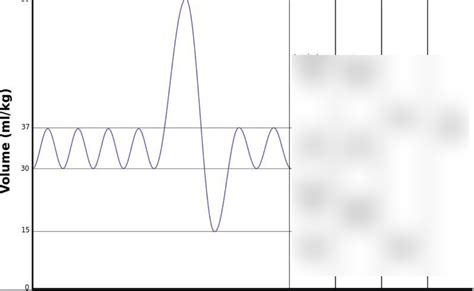 Lung Lab Quiz Diagram Quizlet