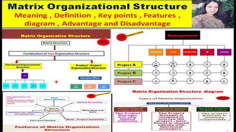 What Is A Matrix Organization Definition And Meaning Organizational