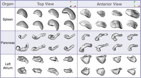 example shapes are shown from each of the datasets from the top and