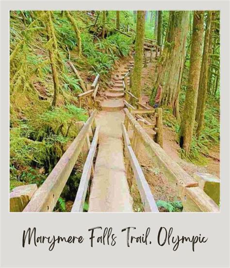 Marymere Falls Trail Guide