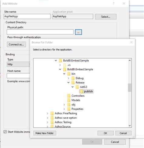 How To Host Angular With Aspnet Core Application In Iis