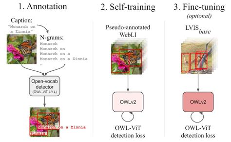 Owl Vit Open Vocabulary Object Detection Recent Advances In Data Science A Learning Journey