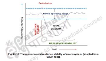 Ecosystem Structure And Functions Ecosystem Structures Functions