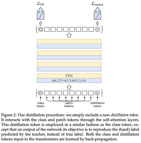 Training Data Efficient Image Transformers And Distillation Through Attention Nams Blog