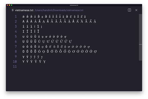 something went wrong on vietnamese · issue 209 · jetbrains
