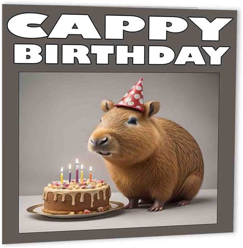 Capybara Geburtstagskarte Cappy Birthday A5 Amazon De Bürobedarf