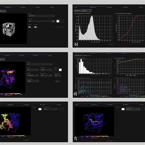 web interface screenshots depicting typical usage workflow for the