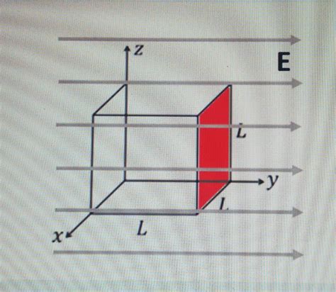 Solved A Cube Has Sides Of Length L 0 05 M It Is Placed
