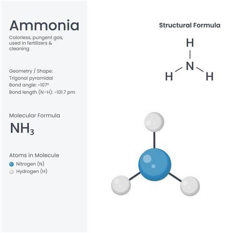 Structure Of Ammonia Is