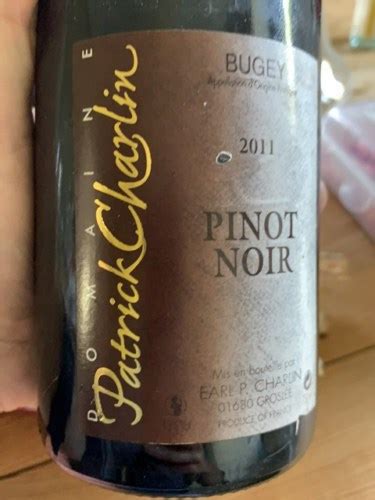 Domaine Patrick Charlin Bugey Pinot Noir Vivino Us